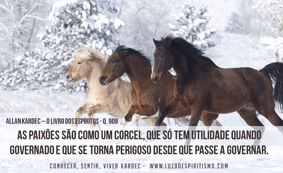 Citações em imagens: Como se poderá determinar o limite onde as paixões ...